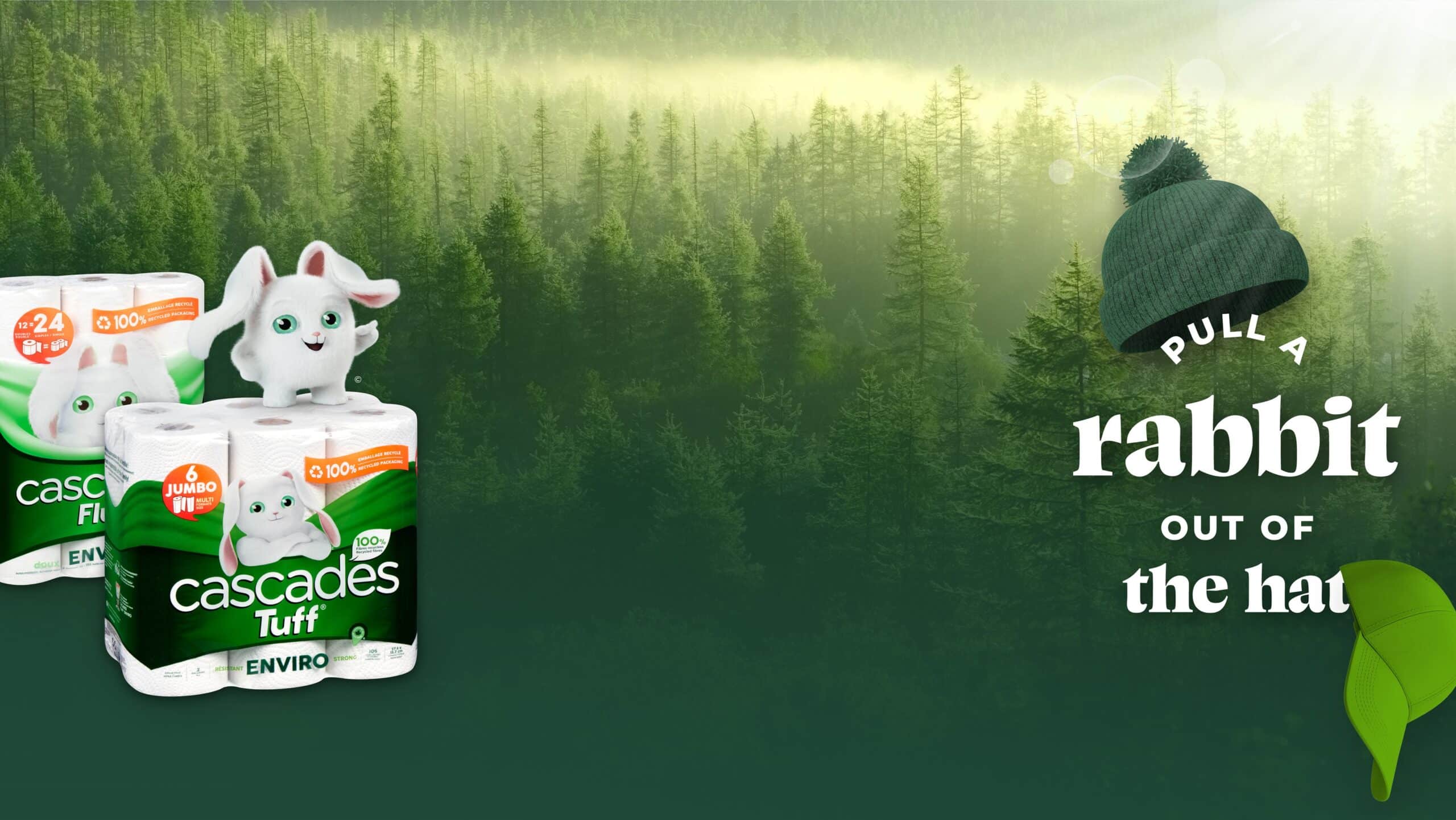 Program - Cascades Fluff & Tuff