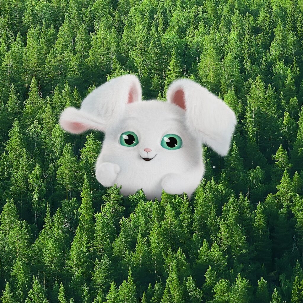 Consommation responsable : les enjeux - Cascades Fluff & Tuff